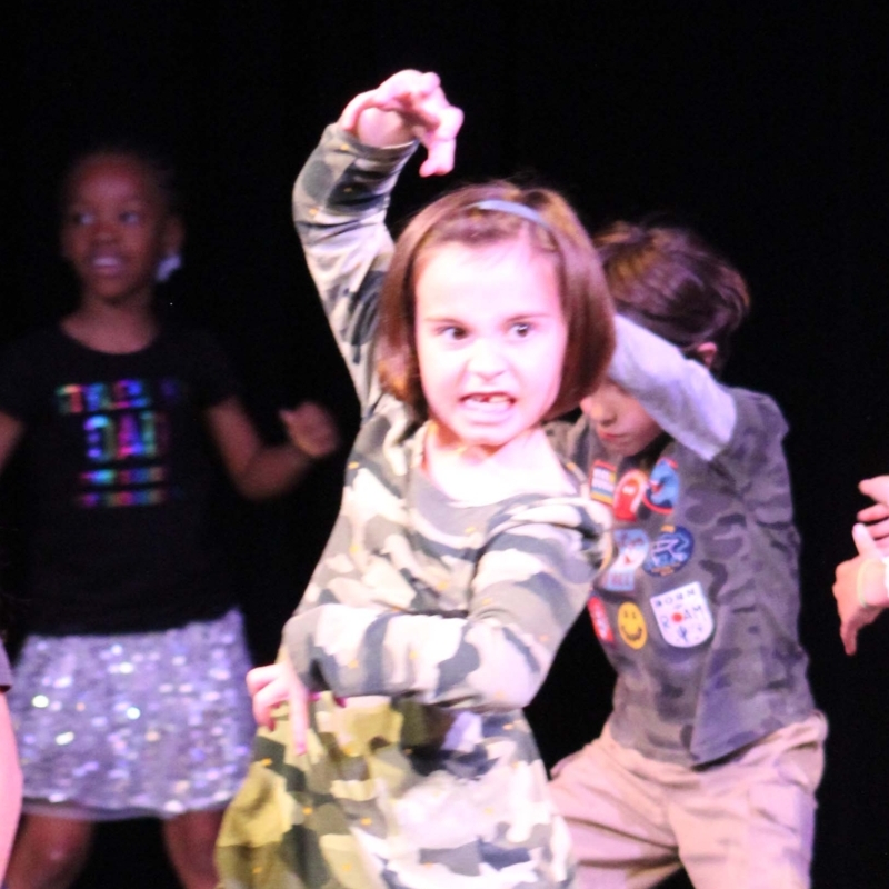 Welcome to Camp – Carrollwood Cultural Center